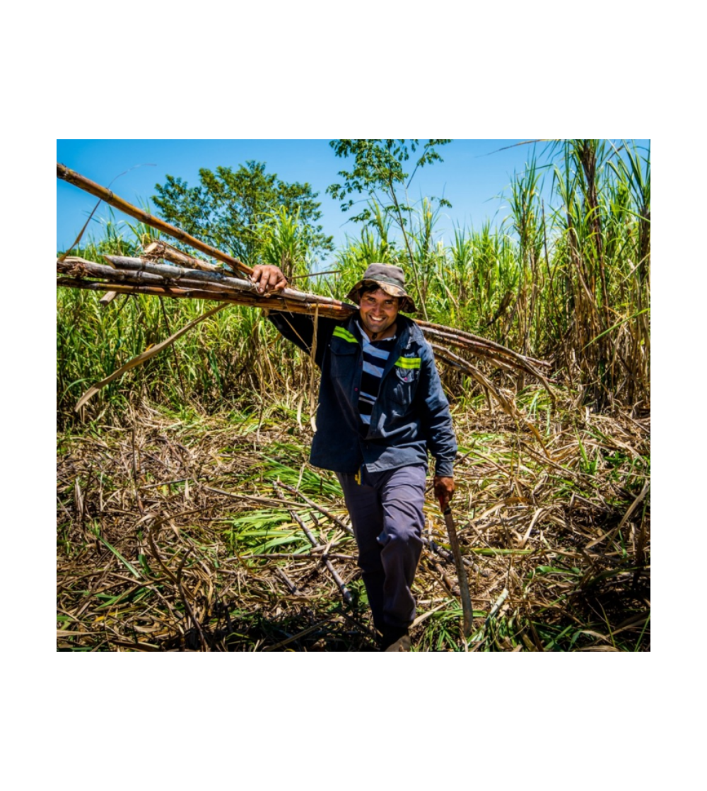 Azúcar ecológico GOLDEN LIGHT PARAGUAY de comercio justo - Ecolectia